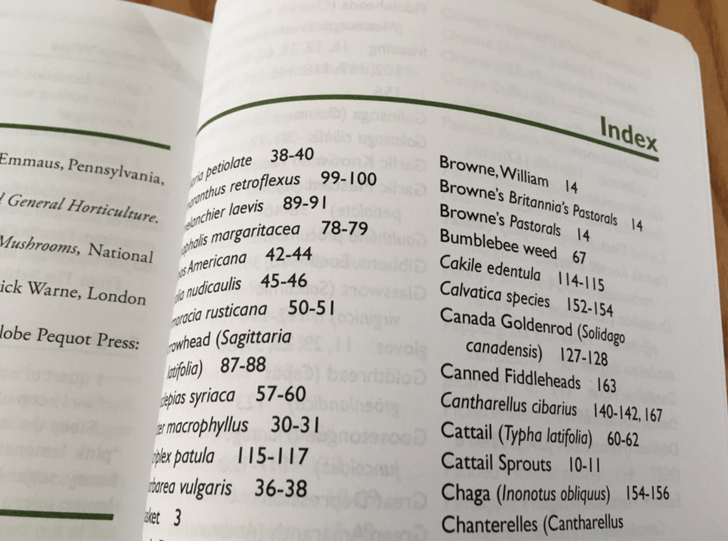 데이터베이스 인덱스 (1) - 인덱스와 인덱싱 알고리즘 (hash table, b-tree, b+tree)